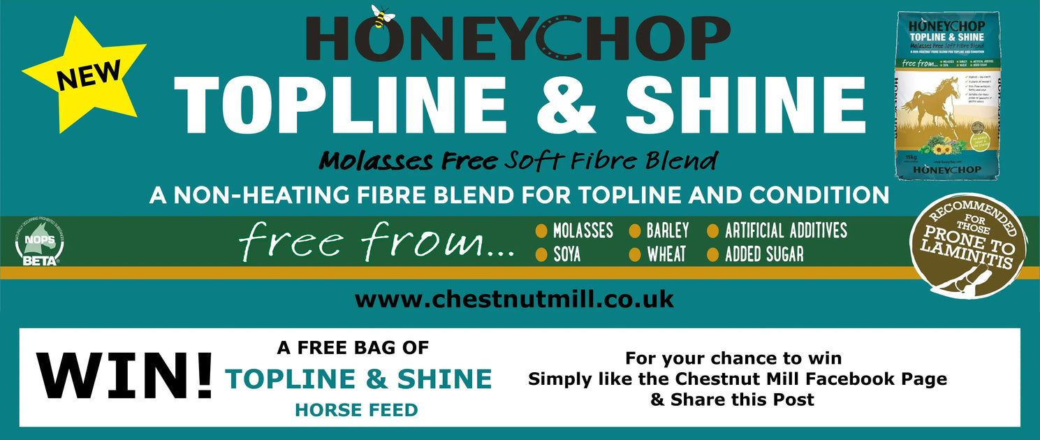 COMPETITION - Win a Free Bag of Honeychop Topline & Shine Horse Feed ...