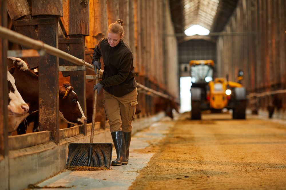 Ultimate Guide to Deep Clean Your Livestock Sheds - Chestnut Mill