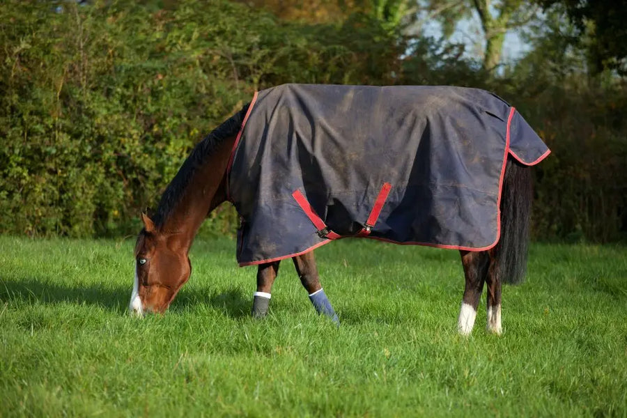 Mastering Seasonal Horse Rugging: A Complete Guide — Chestnut Mill