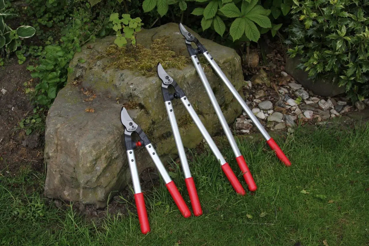 The English Garden's Best Professional Loppers: Ars LPB-30 — Chestnut Mill