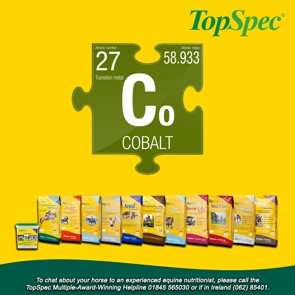 The Role of Cobalt in a Horses Diet - Horse Supplements - Chestnut ...