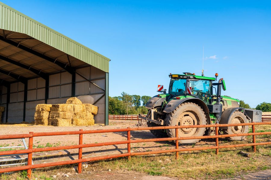 Smallholder Summer Pasture Management (UK): Rotational Grazing, Weeds ...