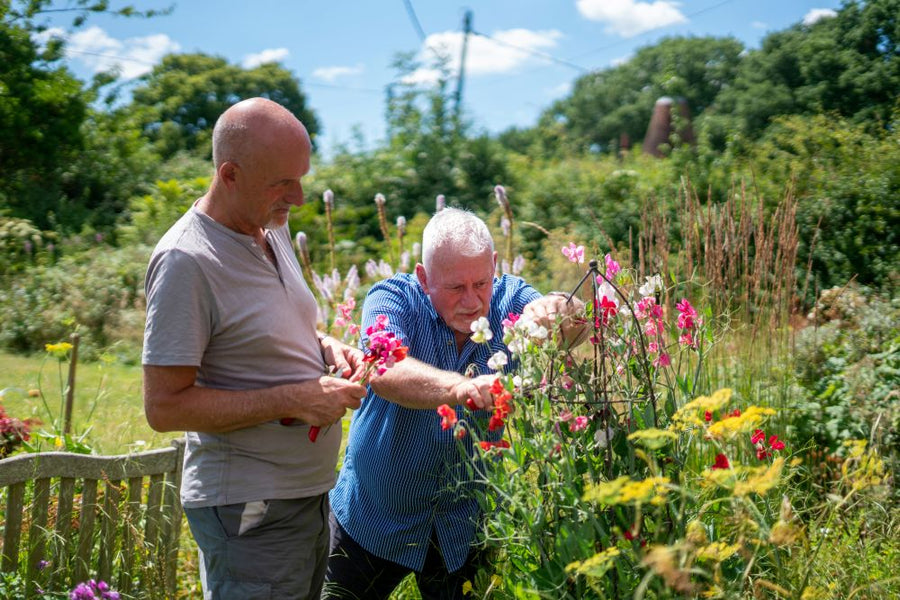 Early June Garden Checklist (UK): What To Do This Week — Chestnut Mill