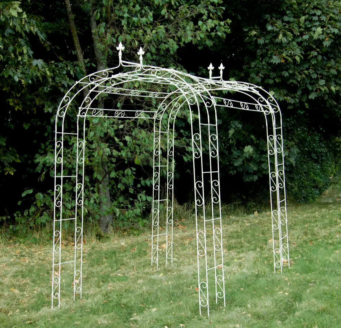 Ascalon - Chestnut Mill