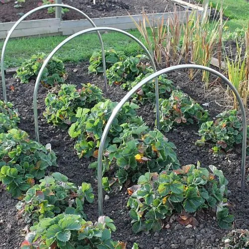 High Top Hoop - Large - 87cm Tall x 110cm Wide - Hoops Only — Chestnut Mill