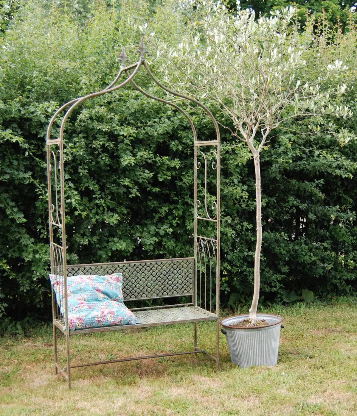 Ascalon - Chestnut Mill