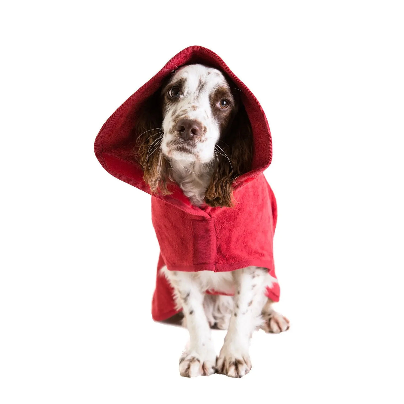 Ruff & Tumble Dog Drying Coat - Classic Collection - SPECIAL OFFER ...