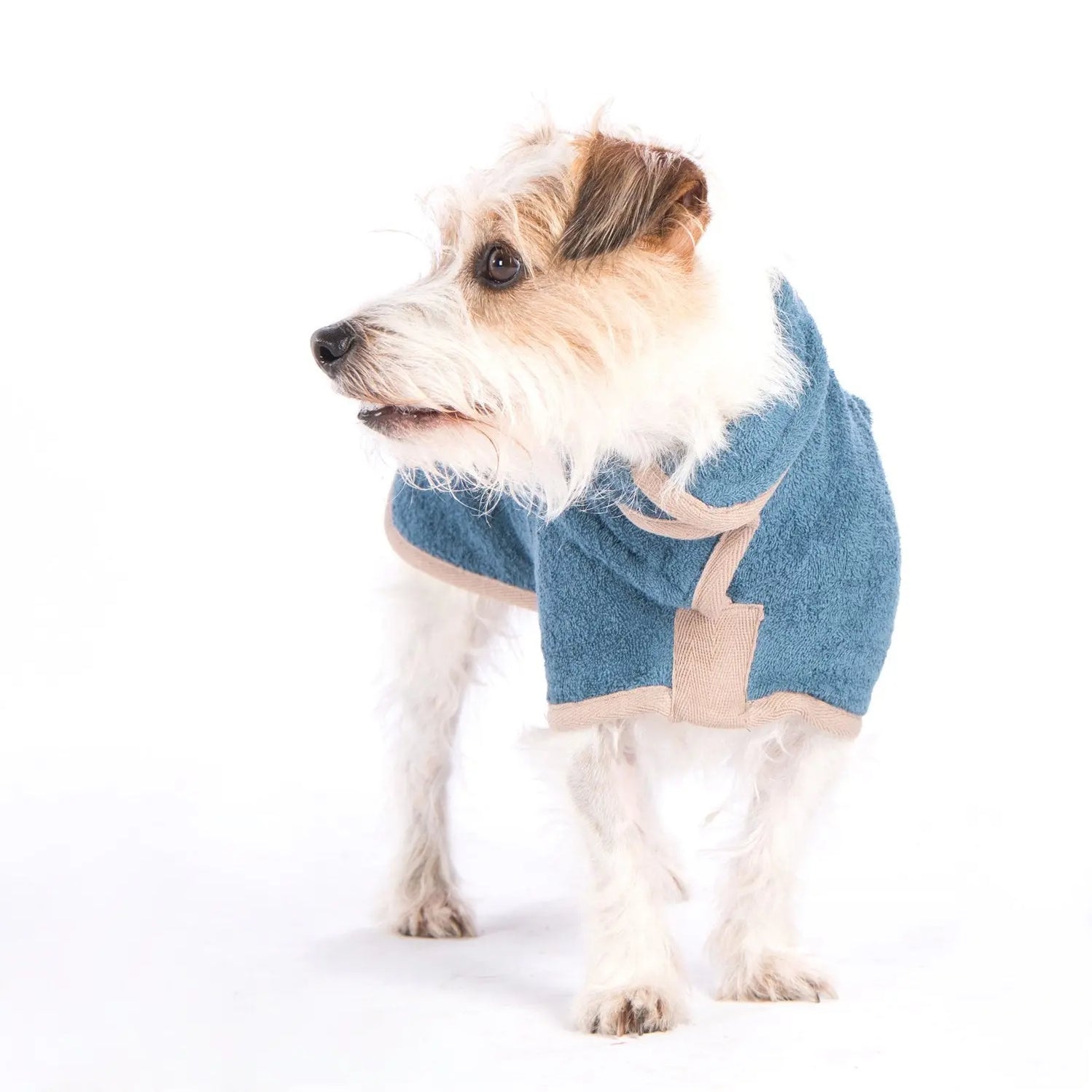 Ruff & Tumble Dog Drying Coat - Classic Collection - SPECIAL OFFER ...