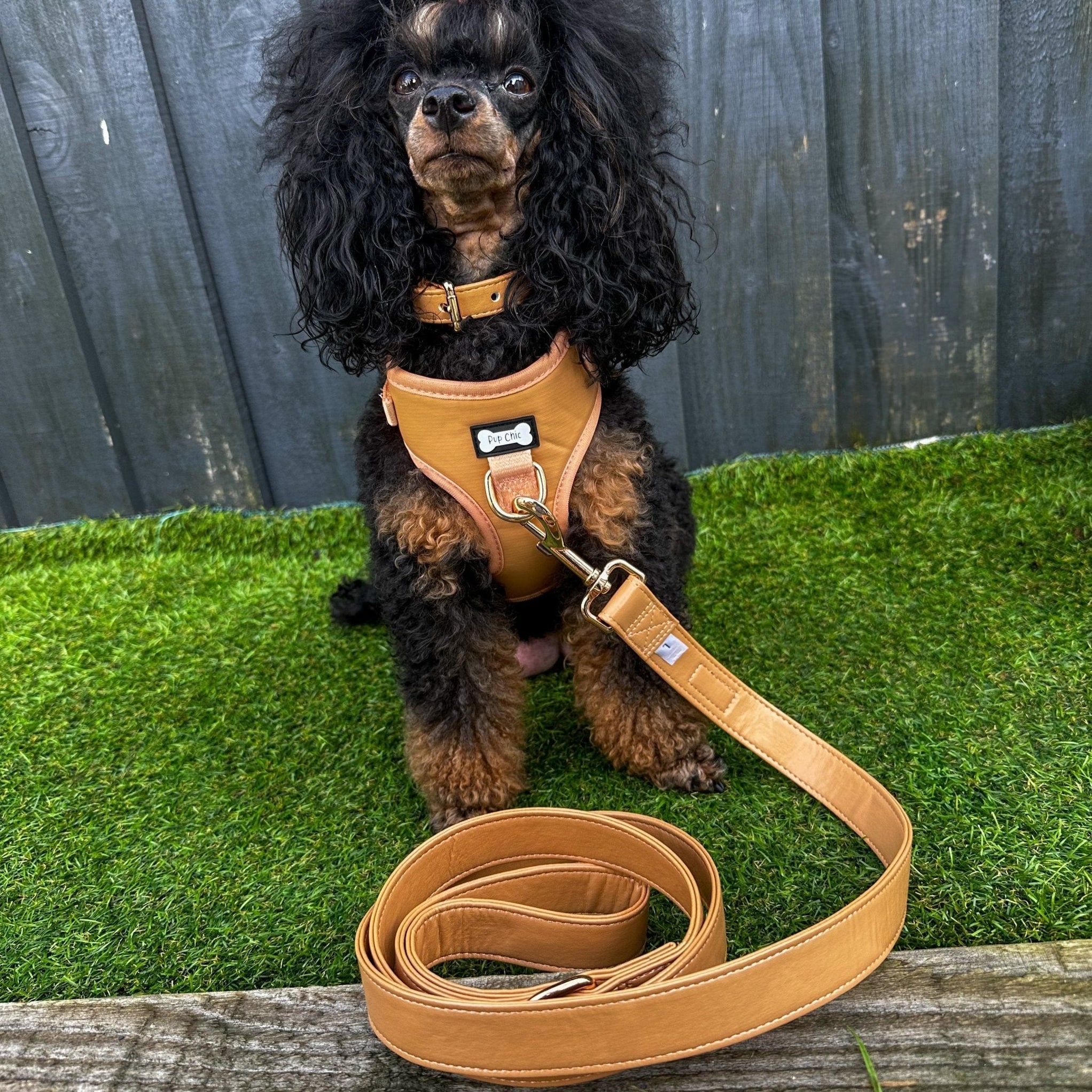 Alfresco Pup vegan leather 5ft dog lead — Chestnut Mill